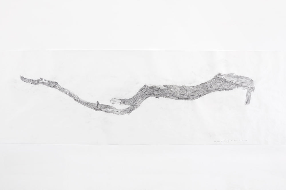 Carrie Walker – THIS GALLERY